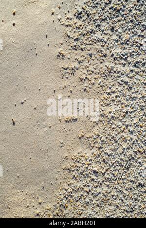 Transition on beach from fine sea sand to coarse beach sand grains ...