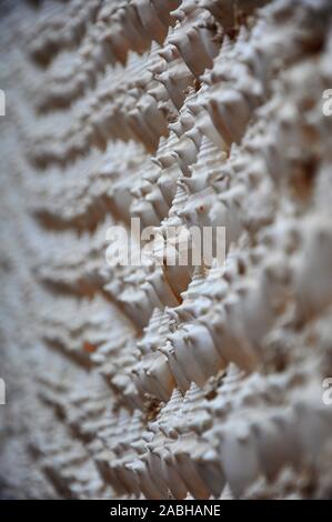 Grey mussel wall Stock Photo - Alamy