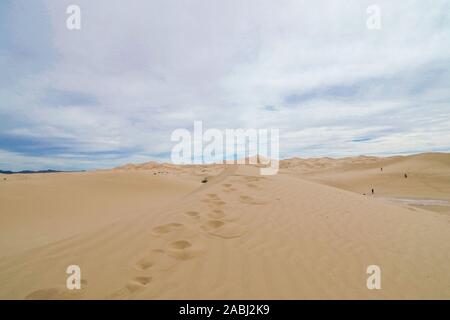 Samalayuca desert dunes, south of Ciudad Juarez, State of Chihuahua ...