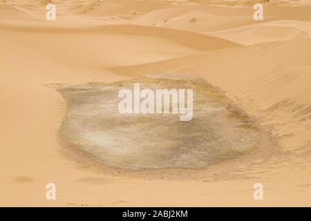Samalayuca desert dunes, south of Ciudad Juarez, State of Chihuahua ...