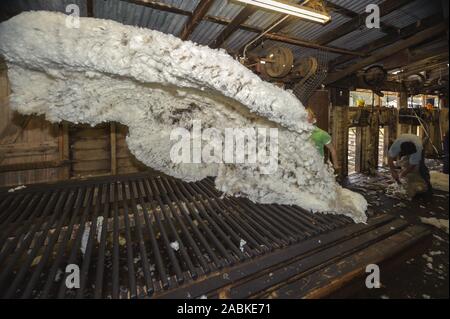 Wool fleece on a classing table Stock Photo - Alamy