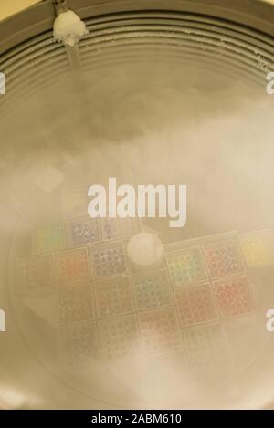 The IVF Spain reproductive clinic stores several million embryos for ...