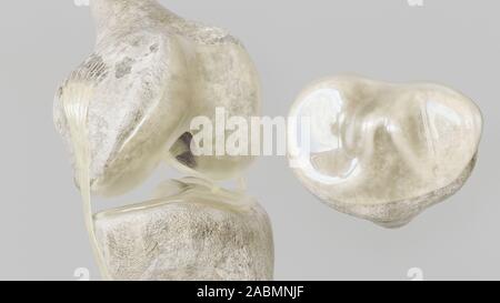 healthy knee without osteoarthritis - 3D Rendering Stock Photo - Alamy