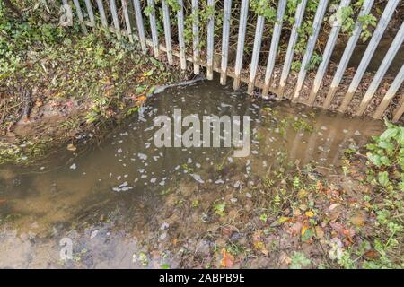 Foam line / foam collecting on freshwater drainage stream. Metaphor ...