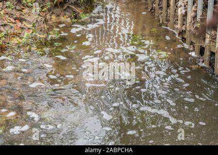 Foam line / foam collecting on freshwater drainage stream. Metaphor ...