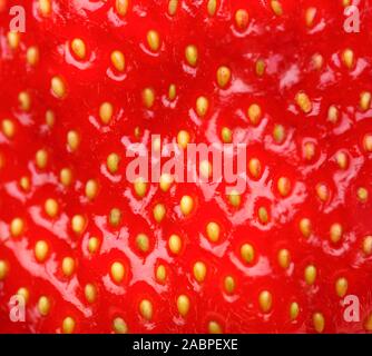 Erdbeere - Detail Stock Photo - Alamy