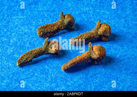 Macro cloves photo, details, backgrounds Stock Photo - Alamy