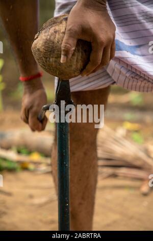 Man open coconut shell by old knife, How to peel coconut India style ...