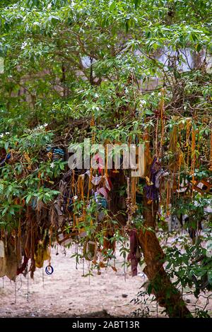 Indian tradition or worshiping tree, South Asian Temple white ...