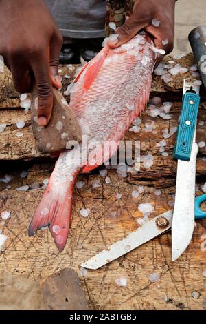 African kitchen, Lome, Togo, West Africa, Africa Stock Photo - Alamy