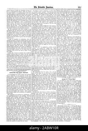 scientific american, 1866-11-10 Stock Photo - Alamy