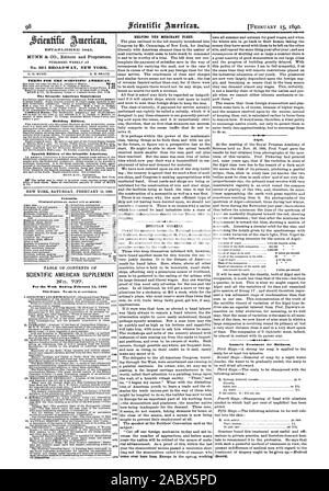February 2, 1890 supplement to The New York World newspaper, depicting ...