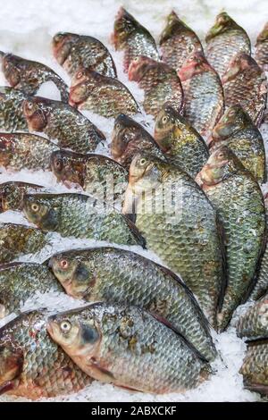 Dorado fish on ice decorated with lime and basil Stock Photo - Alamy