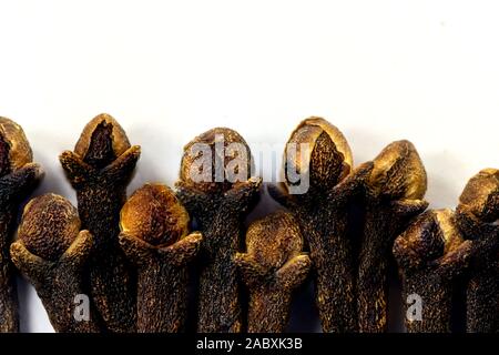 Macro photograph of clove sticks in white background Stock Photo - Alamy