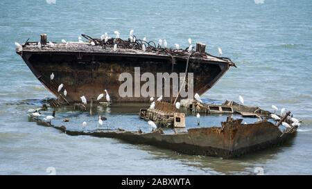 Abandoned ships rust away along the coast of Angola Stock Photo - Alamy