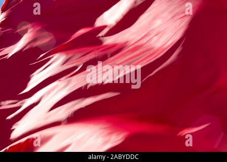 Fragment of red flag on a wind Stock Photo - Alamy