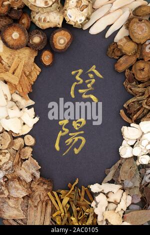 Traditional apothecary chinese herbs calligraphy script on rice paper ...