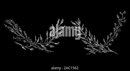 Hand Drawn Wildflowers Vector Illustrations Collection. Abstract ...