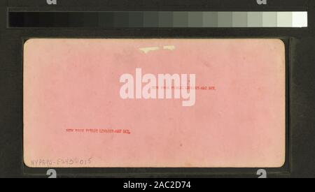 Garden, showing flower beds, enclosing hedges, tree and fountain ...