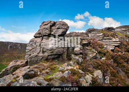 Weathered gritstone boulders at Ringing Roger, Kinder Scout Stock Photo ...