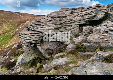 Weathered gritstone boulders at Ringing Roger, Kinder Scout Stock Photo ...