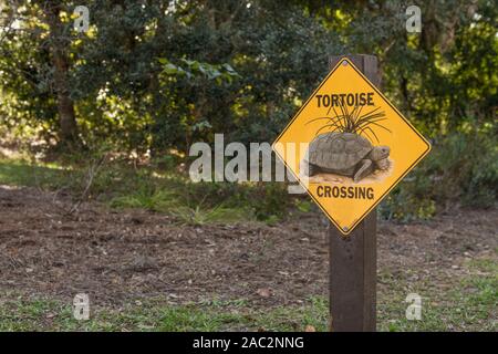 Gopher Tortoise Sign Post Crossing Warning Stock Photo - Alamy