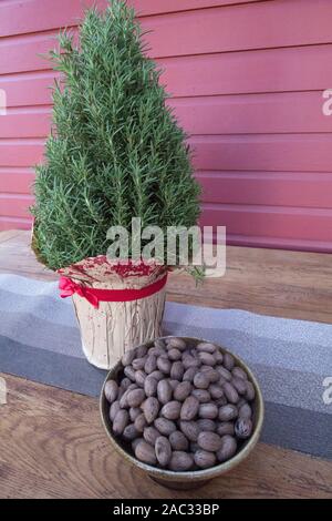 Bowl of Pecans and Holiday Tree Stock Photo - Alamy