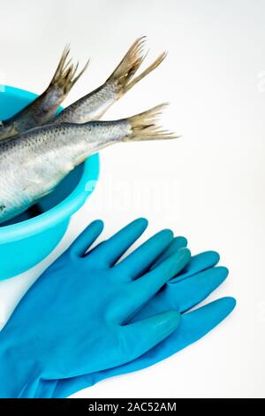 Raw defrosted fish in a blue basin on a white background Stock Photo ...