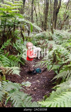 Native Forest Nature Trail, Kalopa Native Forest State Park, Hawaii ...