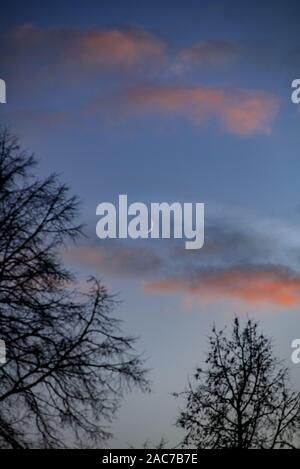 Crescent moon setting in the afternoon behind trees Stock Photo - Alamy