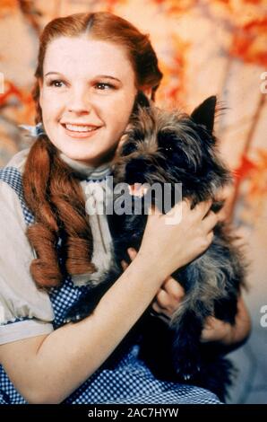 TOTO, JUDY GARLAND, THE WIZARD OF OZ, 1939 Stock Photo - Alamy