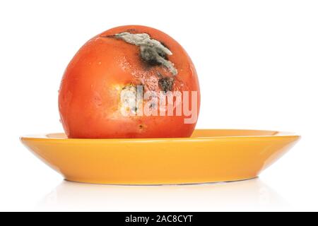 One whole stale red tomato isolated on white background Stock Photo - Alamy