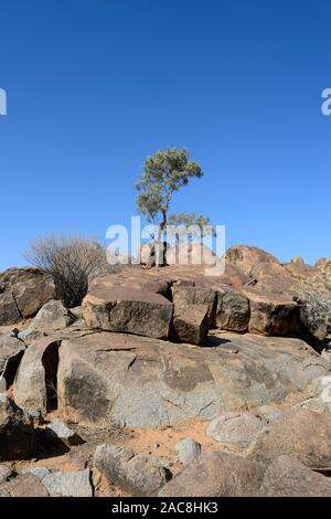 The Granites in South Australia in Australia Stock Photo - Alamy