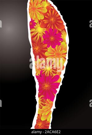 petal abstract rip torn tear backdrop background floral teardrop model ...