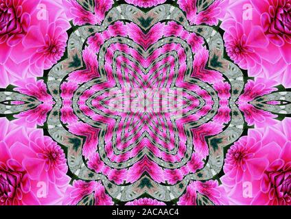 Dahlia Mandala - Vibrant contemporary mandala design incorporating the ...