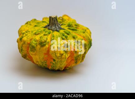 Special ornamental Pumpkin isolated on white ground Stock Photo - Alamy