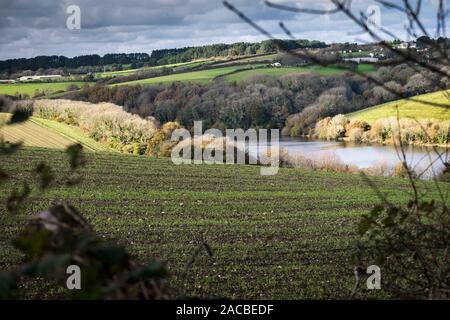 Porth Reservoir seen from Colan Woods, the overgrown grounds of the ...