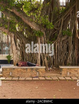 homeless man sleeping under tree, chinatown, bangkok, thailand Stock ...