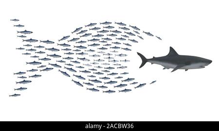 fish group chasing shark, concept unity is strength, 3d illustration ...