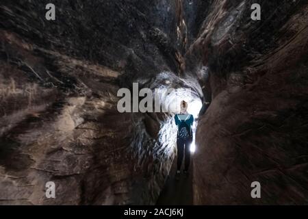 The Fallen Monarch. A giant fallen Sequoia tree (Sequoiadendron ...