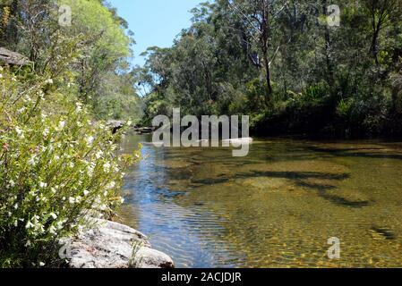 Karloo Pool is a popular swimming and picnic spot situated in Royal ...