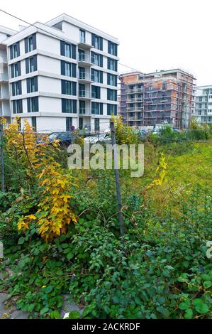 A gap between two houses in a town. Austria Stock Photo - Alamy