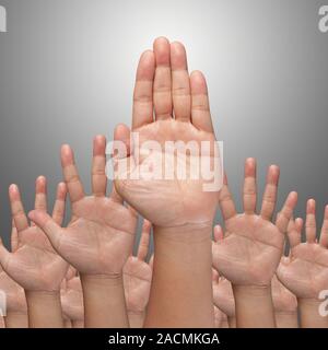 Many Hands raise high up on white background Stock Photo - Alamy