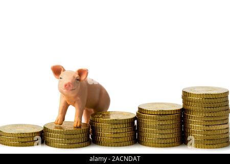 Pork on a stack of coins Stock Photo - Alamy