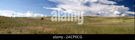 typical dry landscape of Alentejo region,south of Portugal Stock Photo ...