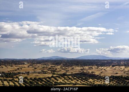 View of the typical Alentejo countryside landscape with lonely trees in ...