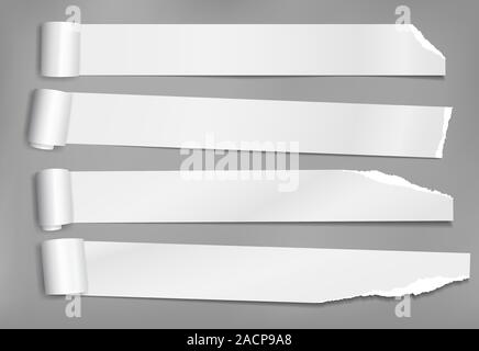 Rolled and ripped dark grey notebook paper sheet is on white squared ...