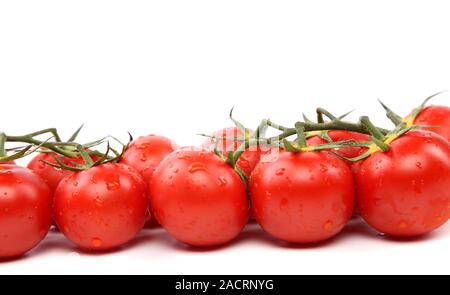 tomatoes standing in a row Stock Photo - Alamy