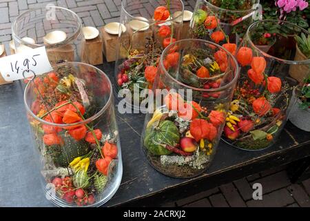 Dried plant displays on an open-air market stall in Middelburg, Zeeland ...