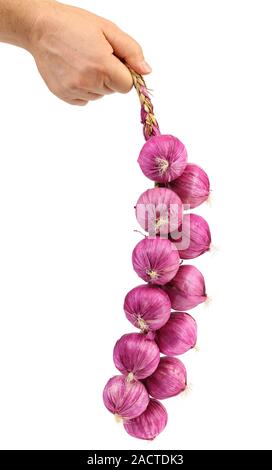 Artificial plait of onions Stock Photo - Alamy